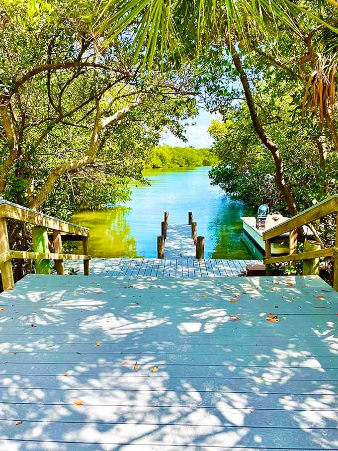 Nature's perfect frame for crystal waters. Like stepping into a painting where you can actually feel the breeze.