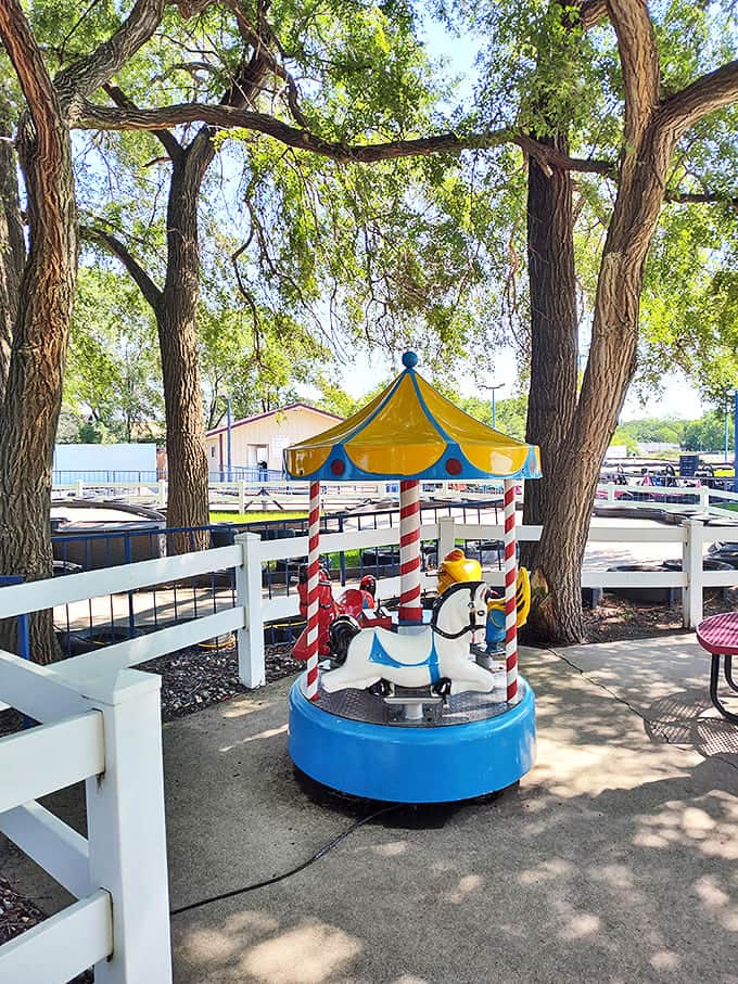 This charming mini carousel delights the youngest visitors with its brightly painted horses. First-time riders experience the magic of going round and round while parents capture precious memories.
