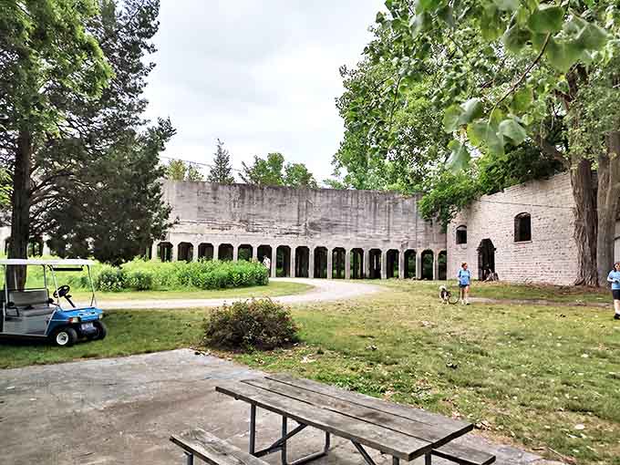 Architectural ghosts: These massive arches once housed bustling industry but now frame perfect snapshots of nature's reclamation project.
