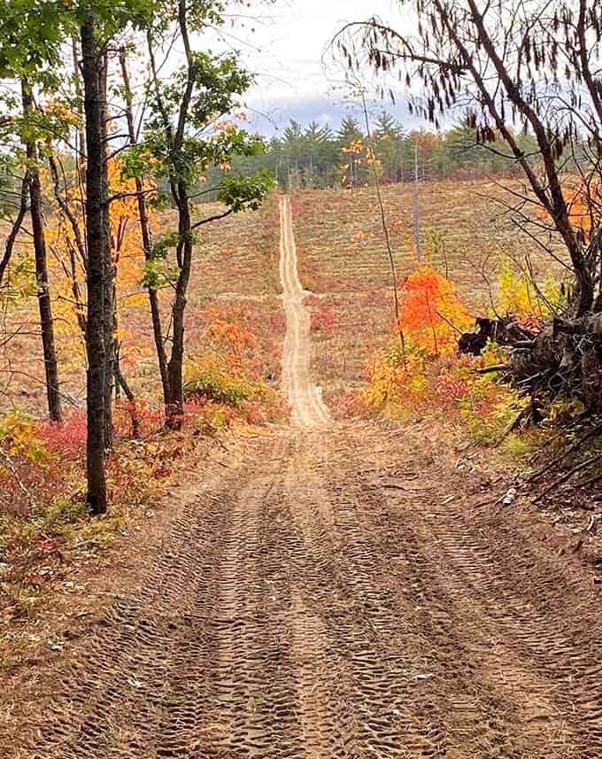 Fall colors frame this winding ORV trail, where adventure seekers can explore miles of terrain while surrounded by nature's most spectacular seasonal show.