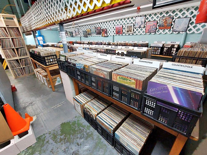 Records: Vinyl heaven awaits music lovers &ndash; each album cover a time portal to when music was something you could hold.