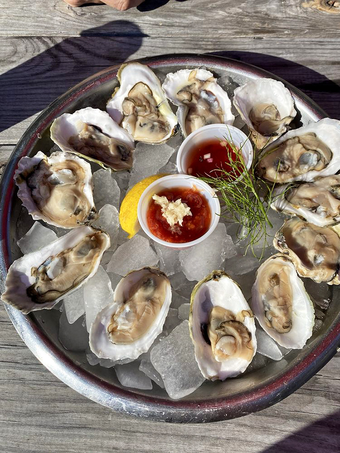 These glistening treasures of the sea arrive perfectly shucked and ice-cold &ndash; briny, bright, and the purest taste of Maine's coastal waters.