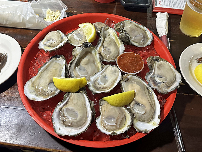 These oysters aren't just served, they're presented &ndash; glistening treasures from the deep that taste like the ocean's finest offering.