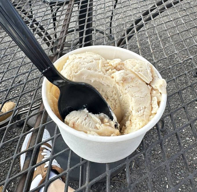 Peanut butter, brownie, pretzel ice cream: A symphony of sweet and salty in every spoonful &ndash; this isn't just dessert, it's therapy in a paper cup.