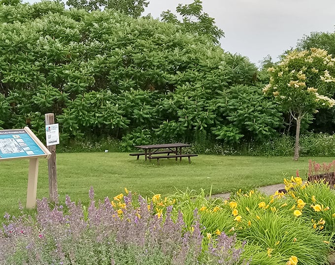 Nature's dining room awaits with this perfectly positioned picnic area. The table might be simple, but the view is Michelin-starred.