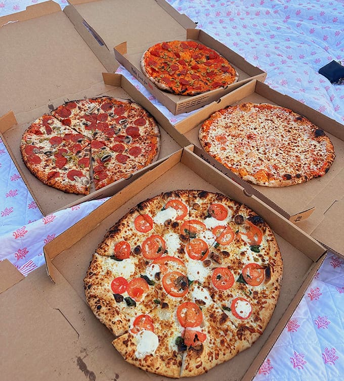 A quartet of perfect pies ready for devouring – from classic pepperoni to specialty creations, each pizza tells its own delicious story.