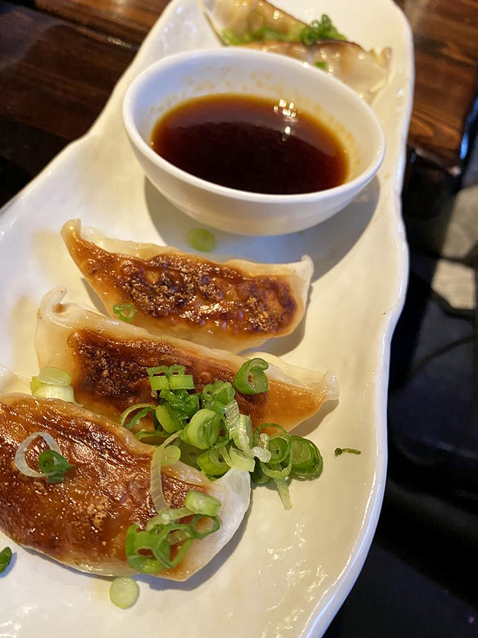 Perfectly pleated pockets of joy, these dumplings have inspired road trips and cravings that wake people at midnight.