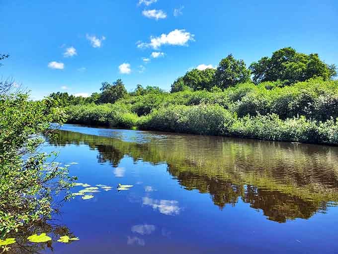 Nature reclaims its territory along Calumet's waterways, where the reflective surface mirrors the lush greenery in perfect symmetry.