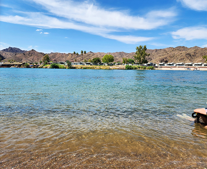 The Colorado River cuts through the landscape like a refreshing blue ribbon, offering sweet relief from Arizona's famous "character-building" heat.