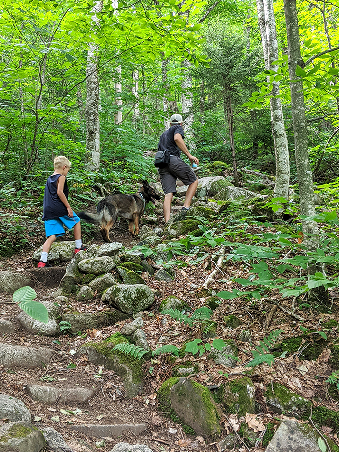 Hiking companions navigate the trail's natural staircase, where tree roots and stones have formed steps over countless seasons.