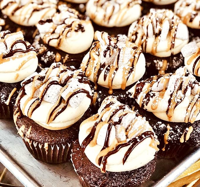 Campfire memories transformed into edible art &ndash; these chocolate cupcakes with toasted marshmallow frosting make summer nostalgia available year-round.