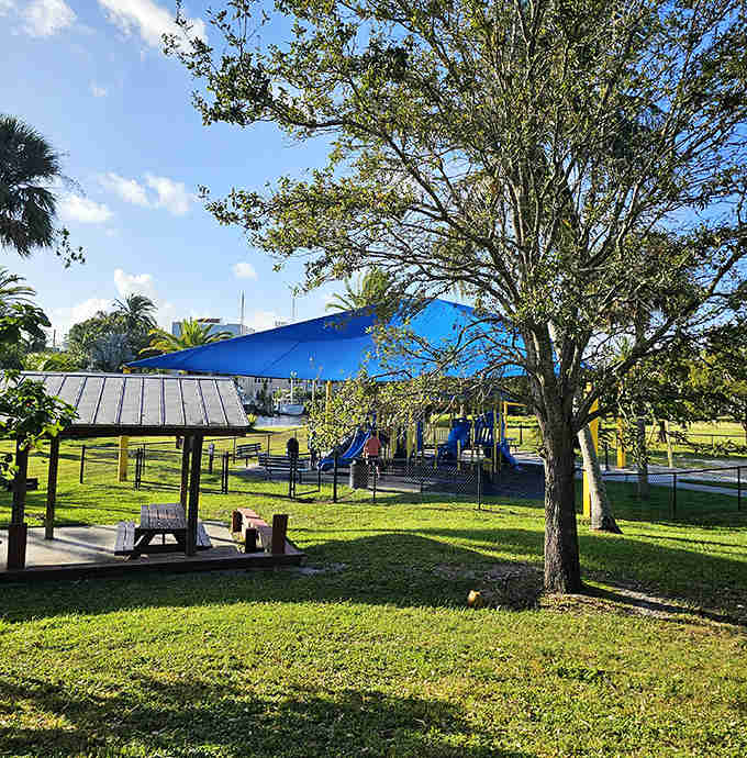 Shepard Park provides the perfect playground for families, where laughter competes with the gentle rustle of palm fronds.