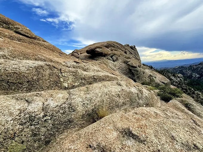 Sitting Lizard Rock lives up to its name, looking exactly like a giant reptile taking a breather from the desert heat.
