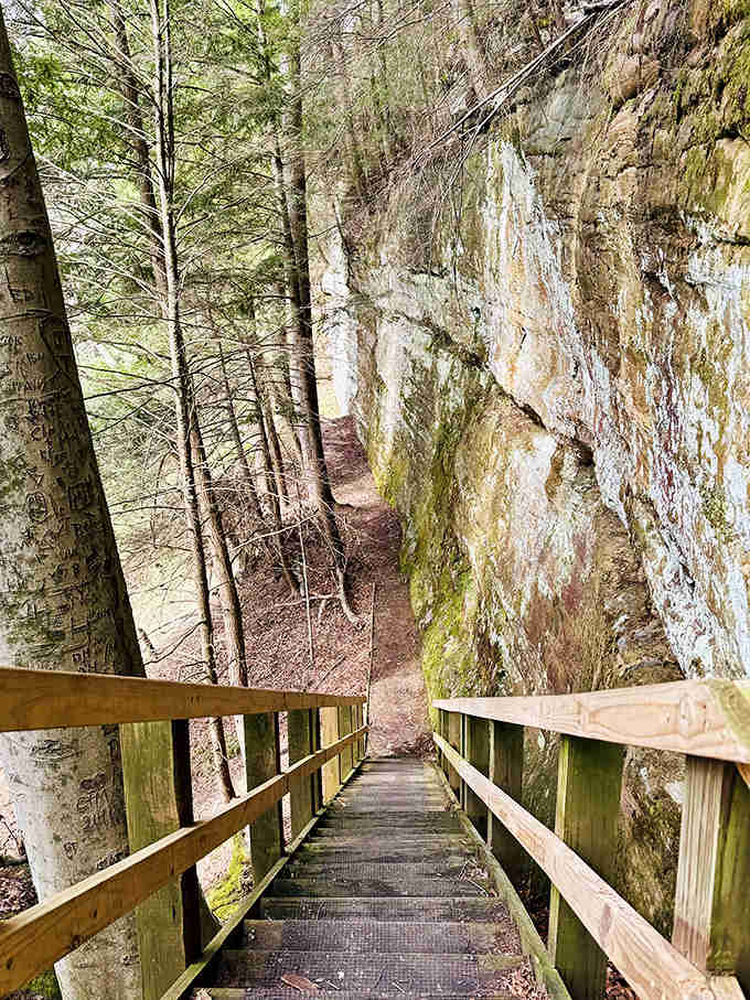 Wooden steps descend dramatically between moss-covered cliffs. This stairway to nature feels like entering another world entirely.