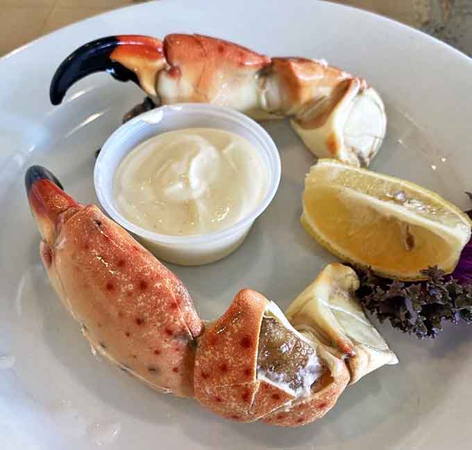 Stone crab claws arrive like ocean royalty, their sweet meat and accompanying mustard sauce creating a flavor symphony worth traveling for.
