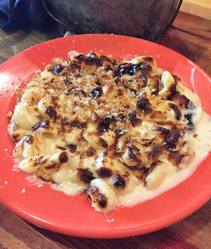 Behold the mac and cheese in all its glory, topped with golden breadcrumbs that provide the perfect crunch to complement that creamy, dreamy cheese sauce.