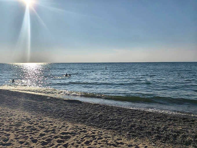 Summer bliss defined: Swimmers embrace Lake Erie's refreshing embrace, proving Ohio knows how to do beach days right.