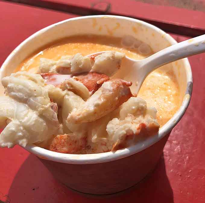 This bowl of creamy lobster stew is packed with tender chunks of fresh lobster that justify the drive from anywhere.