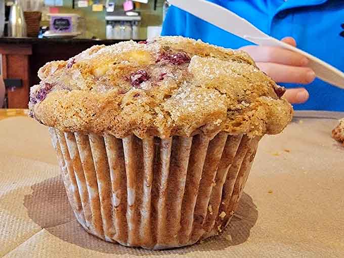 That golden-domed muffin top glistening with sugar crystals is basically edible architecture at its finest and most delicious.