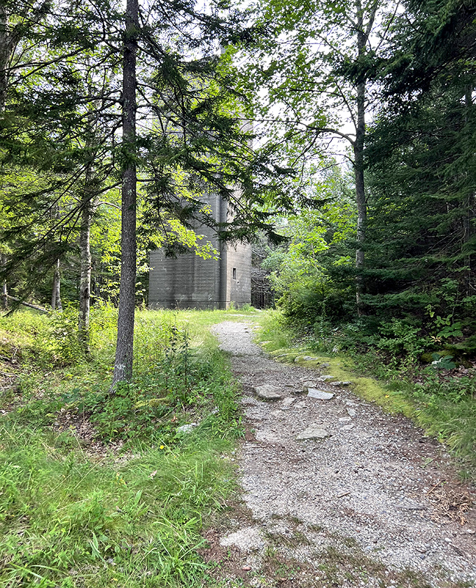 A winding trail through pine-scented forest suddenly reveals Fort Baldwin's secrets, each step bringing you closer to a forgotten military past.