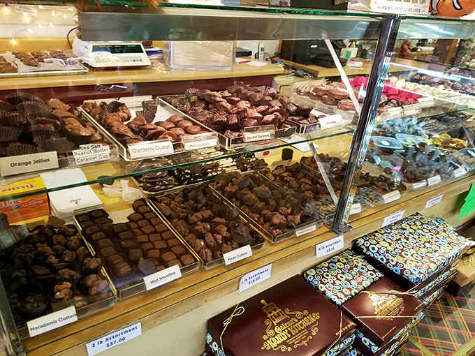 The display case reveals chocolate masterpieces that would make Willy Wonka himself nod in approval &ndash; handcrafted with old-world attention.