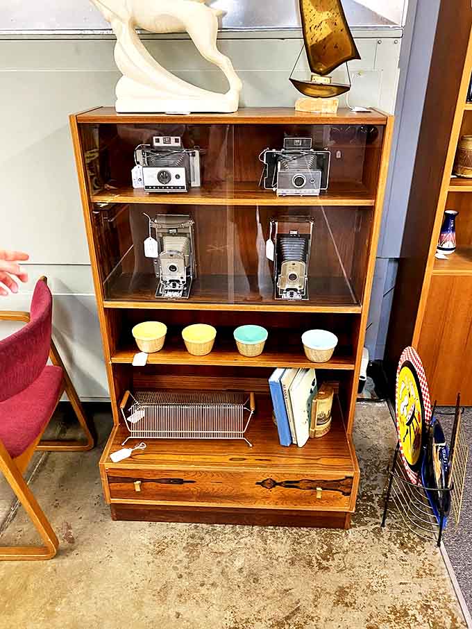 Vintage Polaroid cameras await their next adventure, frozen in time like the moments they once captured.