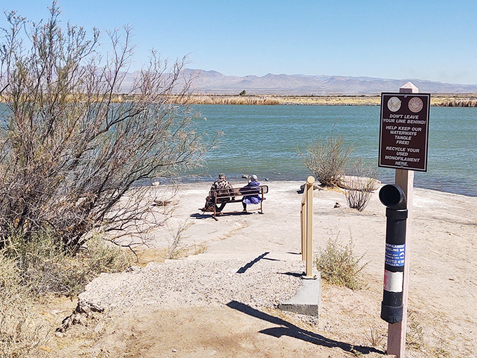 A peaceful fishing spot where catching nothing still feels like winning. The views alone are worth the price of admission.