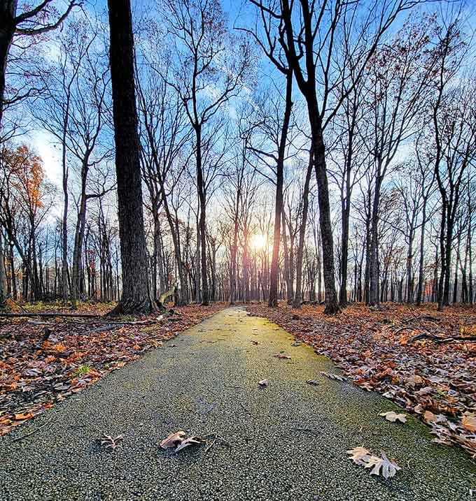 Northern Illinois University's castle-like building looks like someone dropped a European fortress into the Illinois prairie with spectacular results.