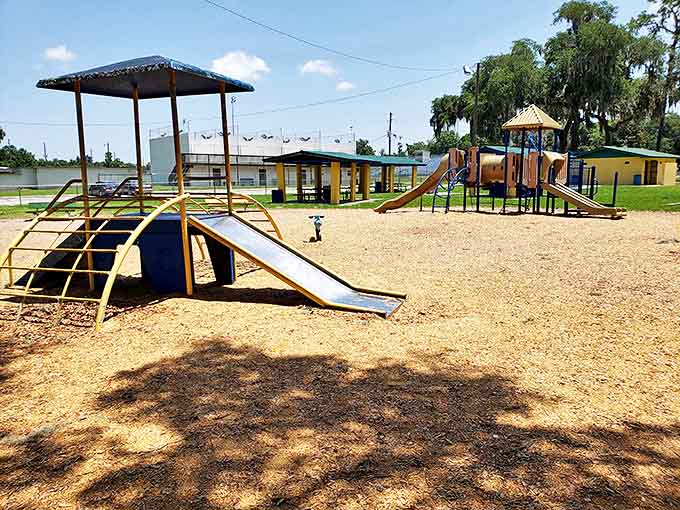 Youngs Park's playground equipment may be simple, but the children's laughter is as sophisticated as any symphony &ndash; childhood as it should be.