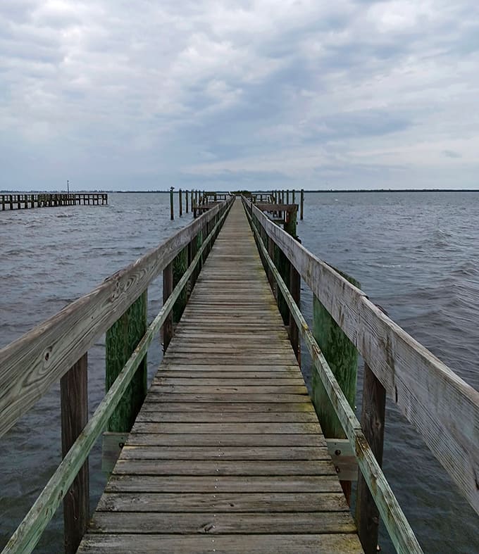 The wooden boardwalk stretches into Indian River Lagoon, offering a front-row seat to Florida's most diverse estuary ecosystem.