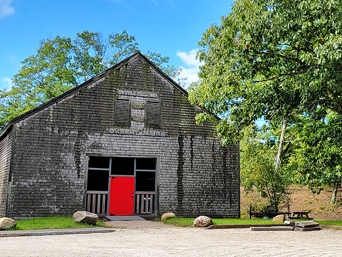This weathered barn with its distinctive red door stands as a testament to the farm that once thrived before being swallowed by sand.