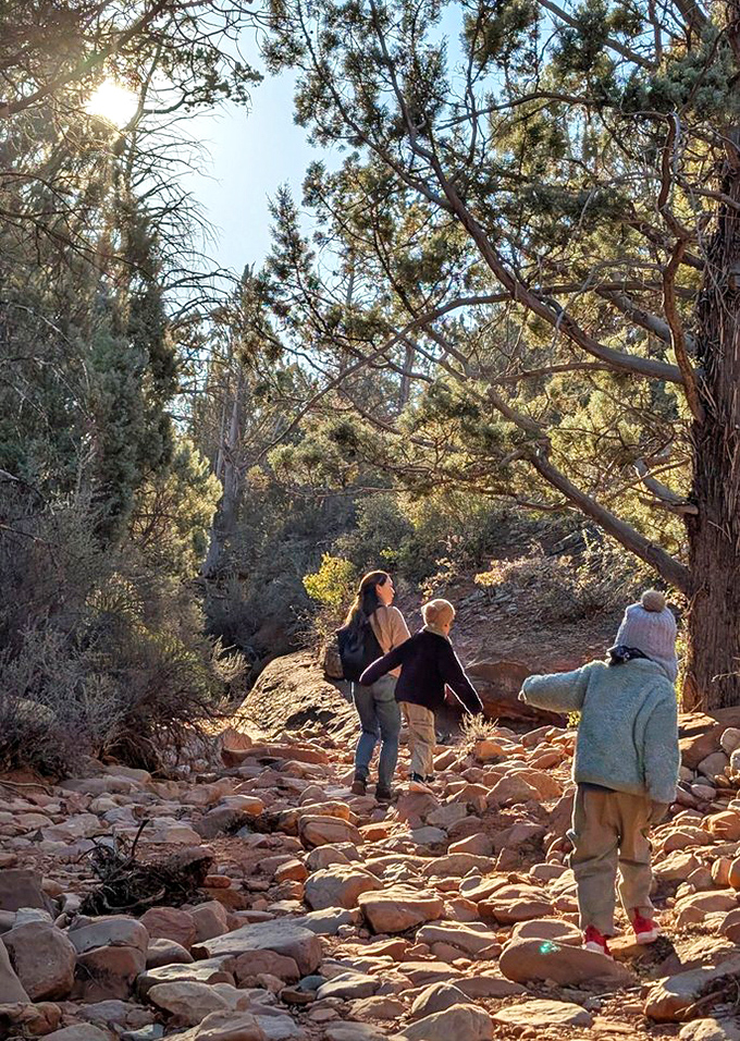 Smooth red rocks create natural pathways between juniper trees, inviting hikers to explore what lies beyond each sun-drenched turn.