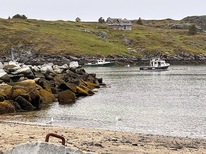 Working lobster boats rest between harvests in Monhegan's harbor &ndash; these aren't decorative props but the lifeblood of an island economy built on seafood.