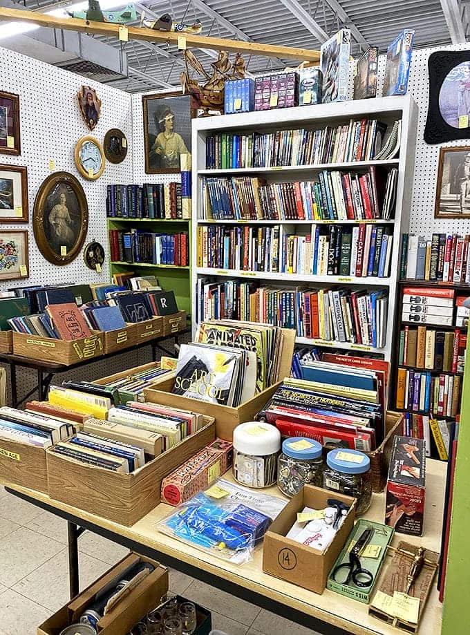 Literary treasures await bibliophiles in every genre &ndash; from dog-eared paperbacks to leather-bound classics, each book a time capsule of ideas.