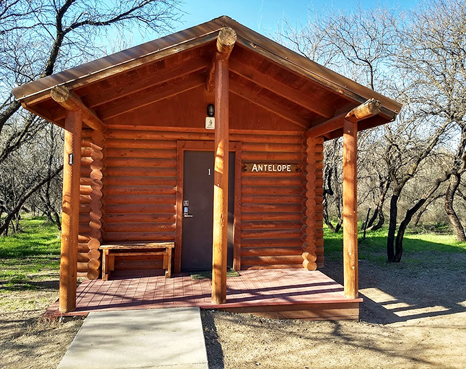 Rustic cabin accommodations labeled "Antelope" offer cozy shelter for overnight adventures, nestled among trees that whisper with seasonal change.