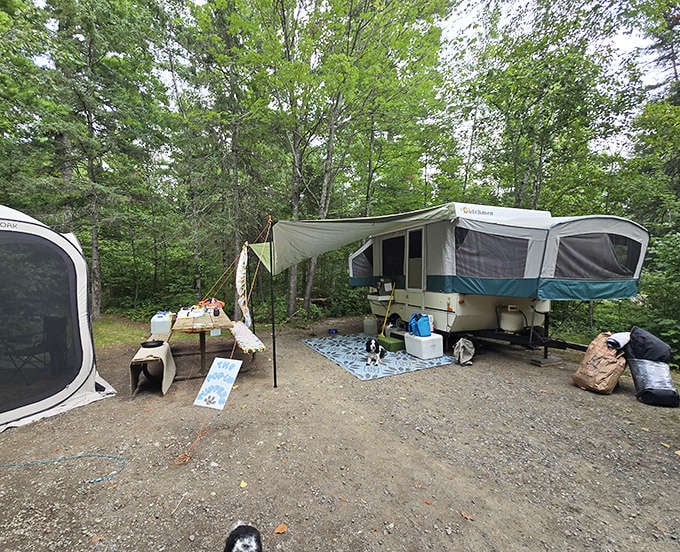 Home sweet temporary home! This pop-up camper setup proves you don't need five stars to have a five-star wilderness experience.