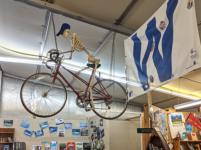 A skeleton cyclist eternally pedals above the bookshelves, just one of many whimsical surprises that make browsing here delightfully unpredictable.