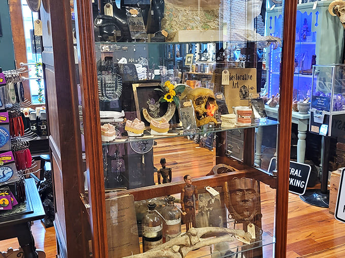 This carefully arranged vignette showcases how everyday objects become art when curated with genuine passion and a discerning eye for beauty.