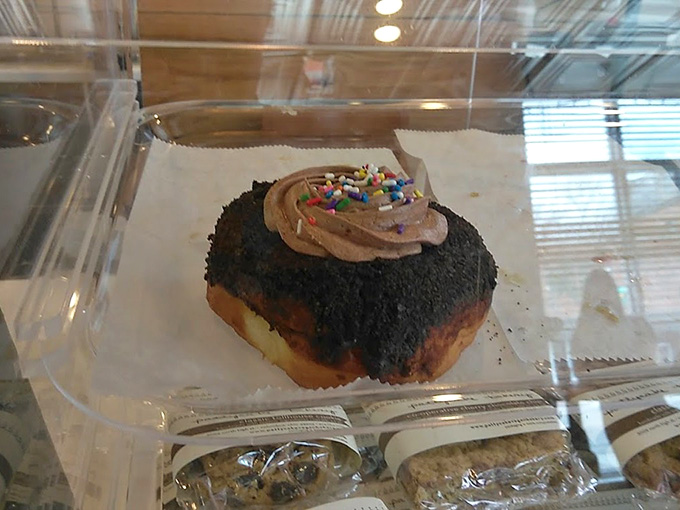 Bagel paradise in plain sight! Jalape&ntilde;o Cheddar, Everything, Asiago, and Sun-dried Tomato &ndash; circular perfection awaiting your selection.