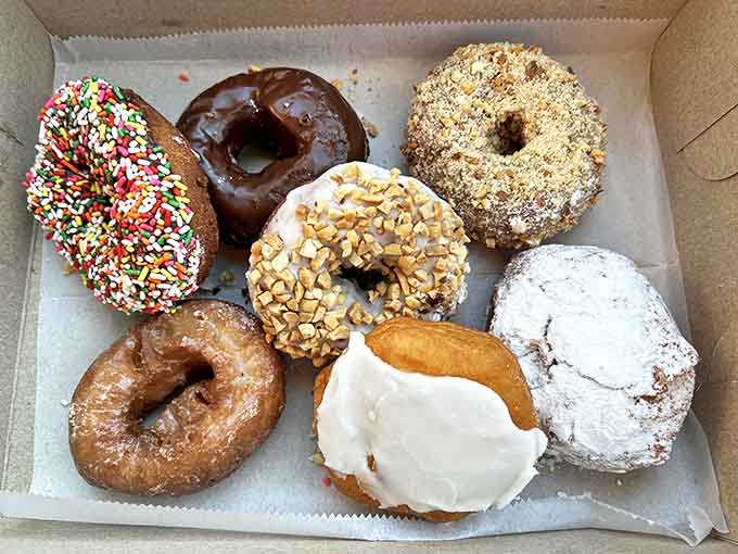 This donut assortment looks like the cast of a delicious movie where everyone's a star and there are no bad guys.