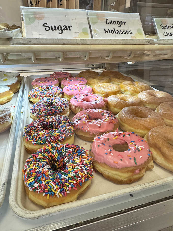 Donut perfection in three acts: rainbow sprinkles, pretty-in-pink, and golden-brown simplicity. The holy trinity of breakfast indulgence awaits your verdict.