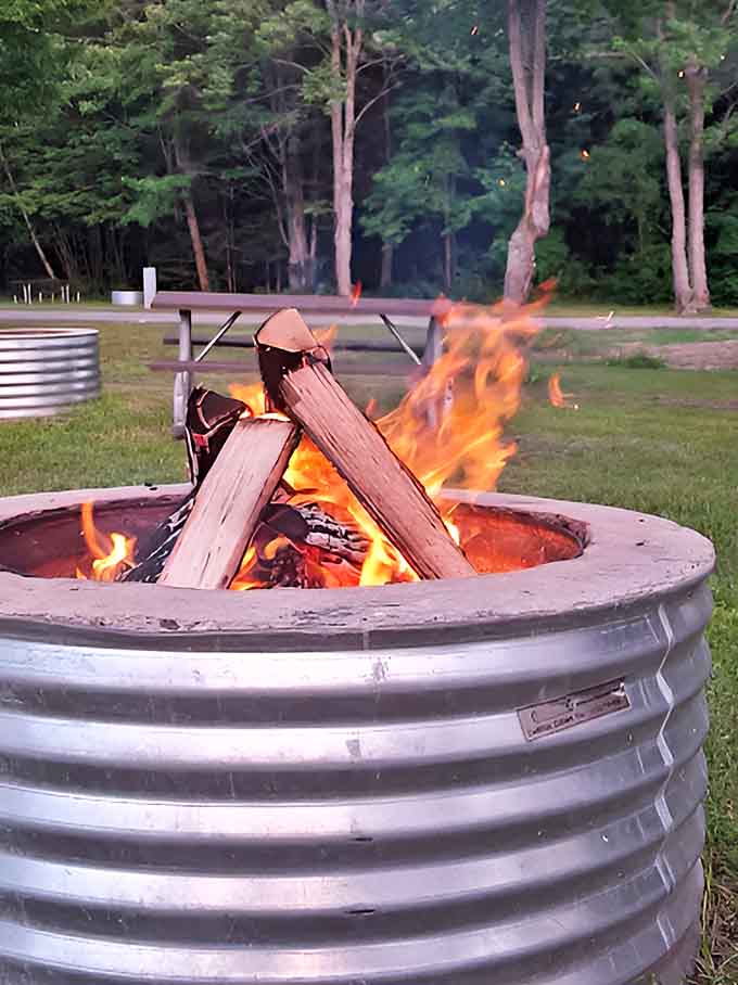 Flames dance in the communal fire pit, where strangers become friends and marshmallows achieve that perfect golden-brown.