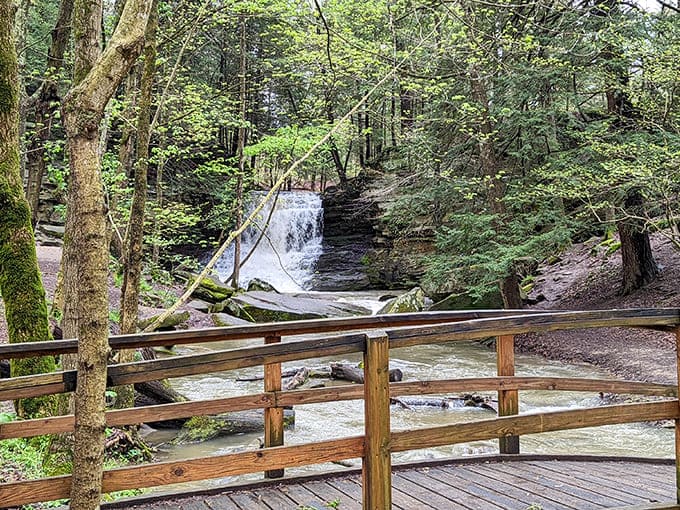 From this vantage point, the waterfall performs its endless dance, a choreography of gravity and persistence that's been running for millennia.