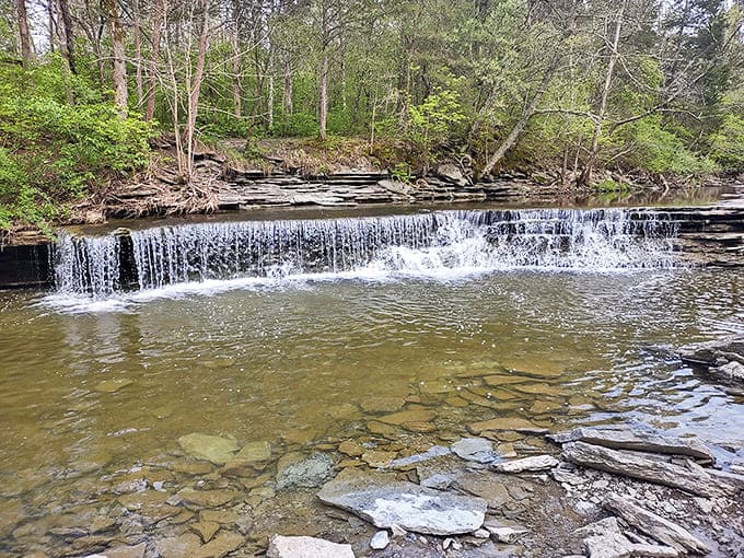 Horseshoe Falls puts on its gentle cascade performance year-round, like nature's version of a spa fountain that actually delivers on its relaxation promises.