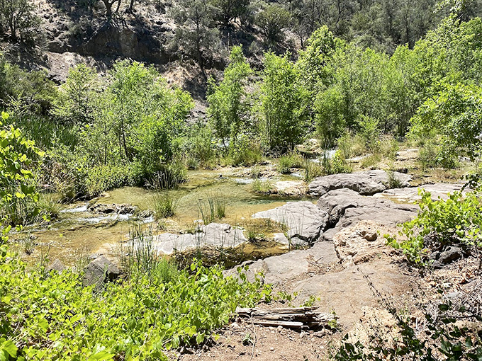 Massive rocks frame the creek: These geological sentinels have watched over countless swimmers, standing guard as the water shapes them molecule by molecule.