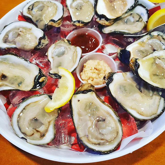 These oysters aren't just served &ndash; they're presented like the ocean jewels they are, glistening on ice with all the proper accoutrements.