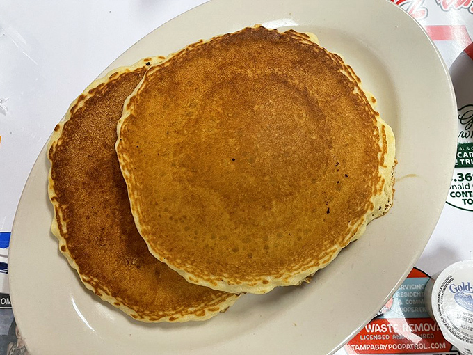 Golden-brown pancake perfection that would make your grandmother weep with joy. Fluffy, tender, and worth every single calorie.