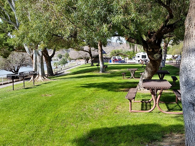 Shaded picnic areas invite lazy afternoons with views that make sandwiches taste inexplicably better.