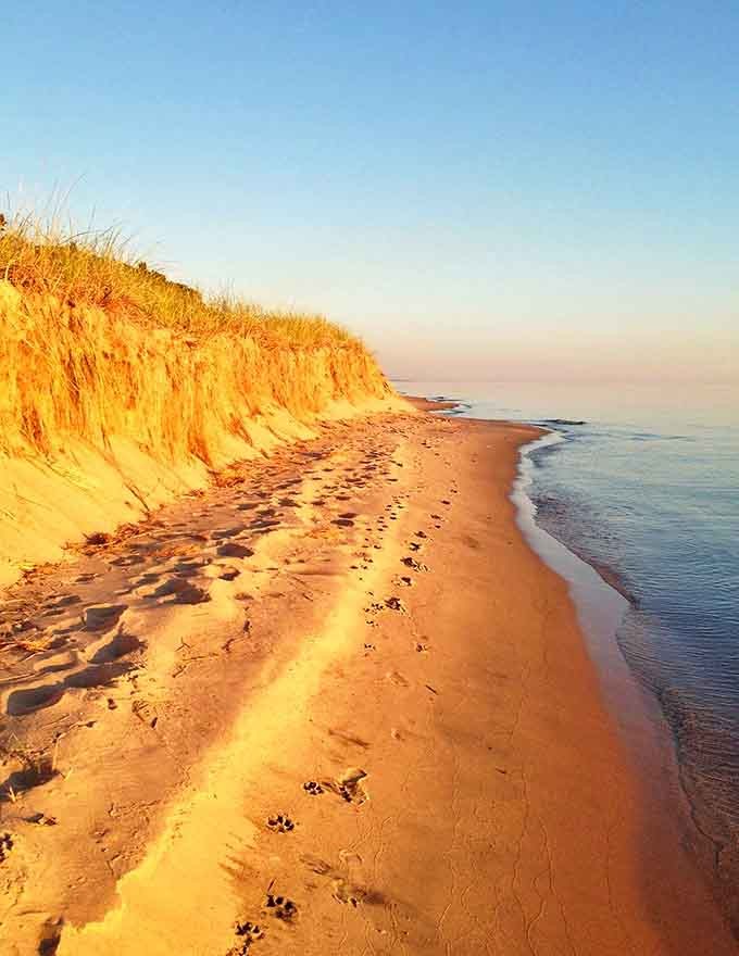 Sandy perfection meets Lake Michigan in a combination that'll have you questioning why you ever considered flying somewhere tropical.