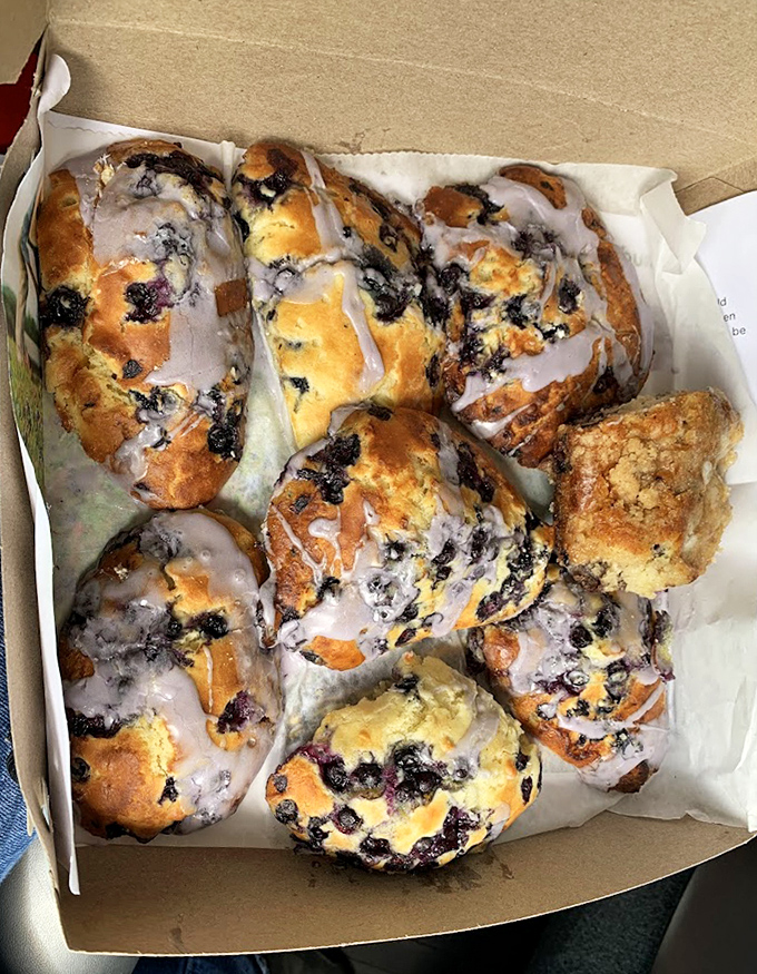 Blueberry muffins bursting with wild Maine berries make for the perfect road trip snack or breakfast treat.